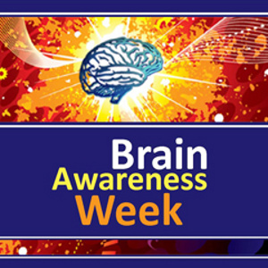 Brain Awareness Week - What We Can Do to Treat Our Brains Better ...
