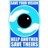 Our Sight is Important: Eye Health Steps During Save Your Vision Month ...